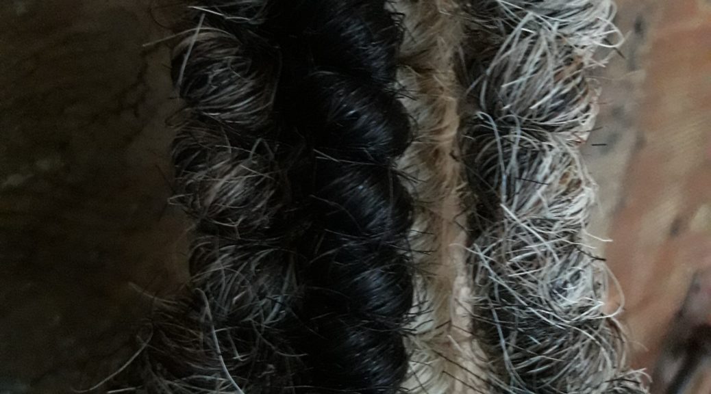 crin de cheval | le blog de cardelaine.fr